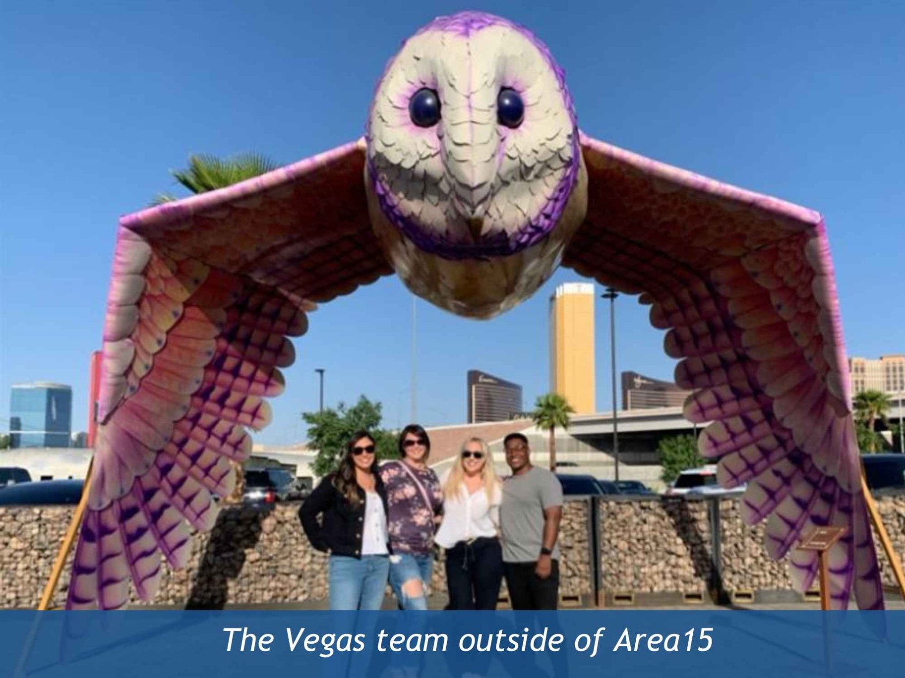 Las Vegas Update | CSI DMC